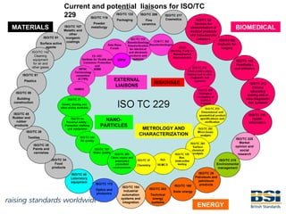 BSI Nanotechnology Standards Presentation on Nanotechnology standards ...