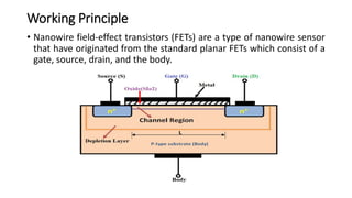 Nanowire Based FET Biosensors and Their Biomedical Applications. Fawad Majeed.pptx | Chemistry ...