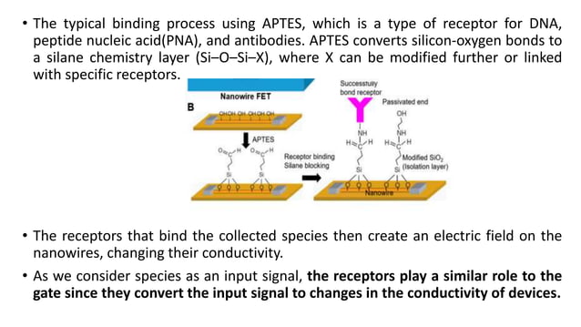 Nanowire Based FET Biosensors and Their Biomedical Applications. Fawad ...