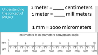 NANOWORLD.pptx | Chemistry | Science