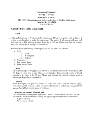 biomolecules__practical__handout__03.pdf