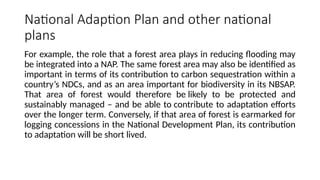 National Adaptation Plan National Adaptation Plan.pptx