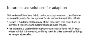 National Adaptation Plan National Adaptation Plan.pptx