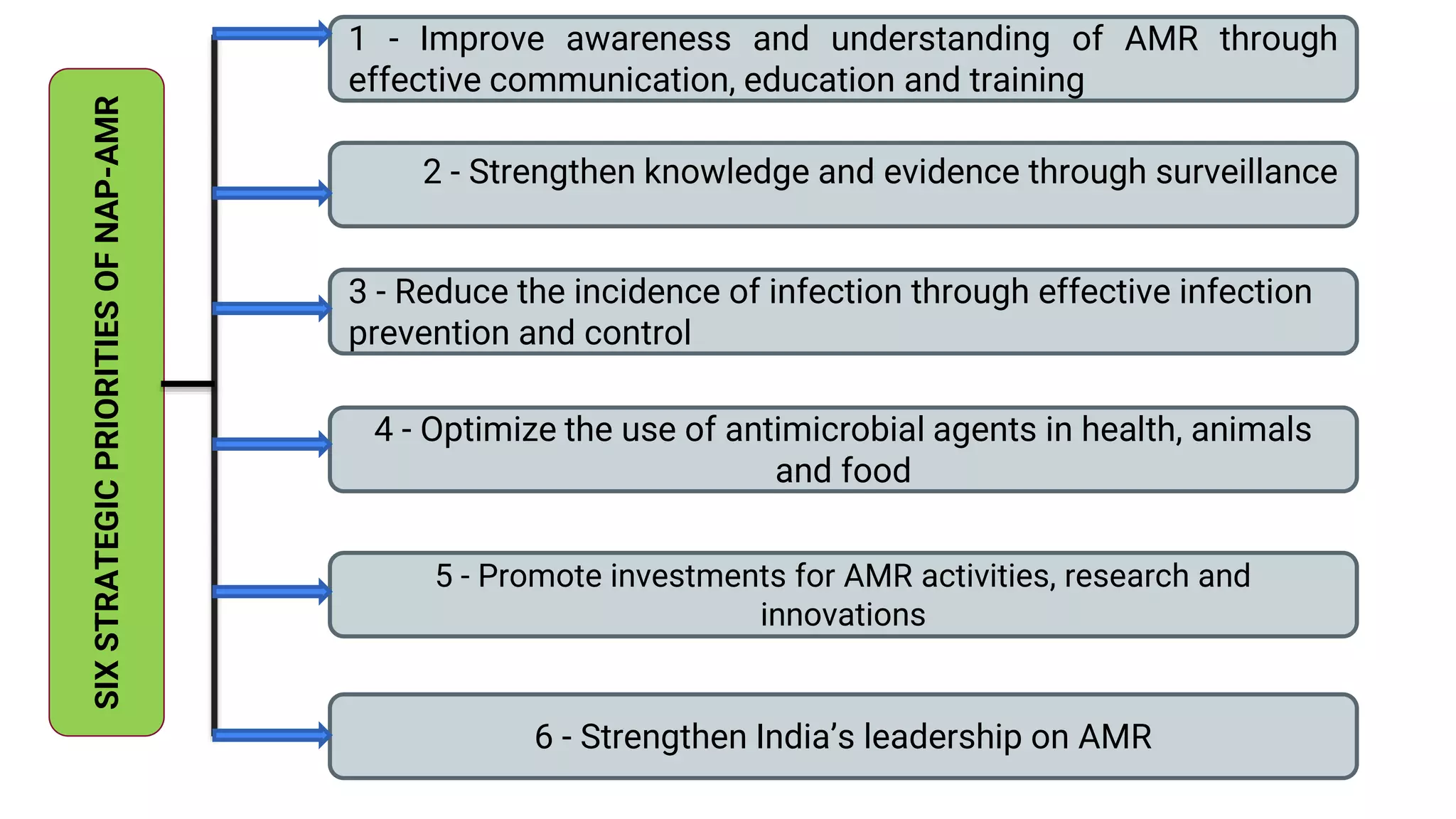 Global and National Action Plan on Anti-Microbial Resistance | PPTX