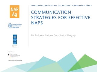 Communications strategies for NAPs | PDF