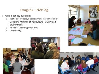 Communications strategies for NAPs | PDF