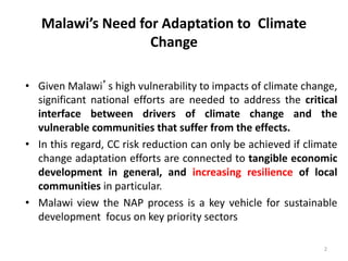 The agriculture sector NAP in Malawi | PDF