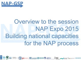 NAP Expo 2015 Building national capacities NAP-GSP | PDF