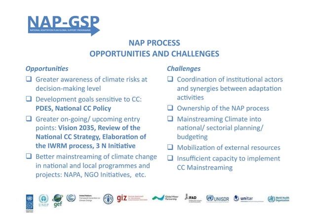 NAP-GSP - Niger Mission Debriefing | PPT