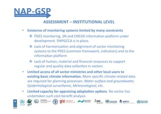 NAP-GSP - Niger Mission Debriefing | PPT