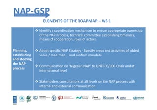 NAP-GSP - Niger Mission Debriefing | PPT