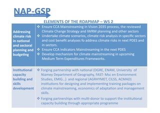 NAP-GSP - Niger Mission Debriefing | PPT