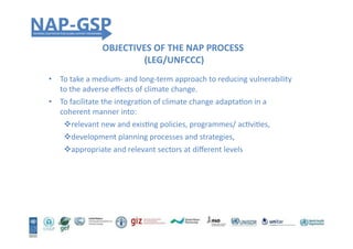 NAP-GSP - Niger Mission Debriefing | PPT