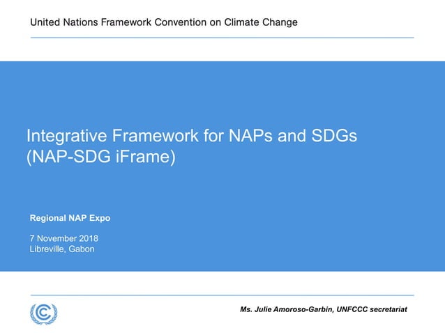 Integrative Framework for NAPs and SDGs (NAP-SDG iFrame) | PDF