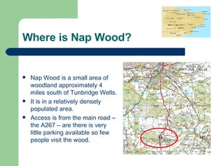 Nap Wood Introductory Presentation | PPT