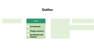 National Adaptation Plan for Actions(NAPA) And The National Appropriate ...