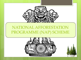 AFFORESTATION AND NATIONAL AFFORESTATION PROGRAMME AND ACT - 2016 | PPTX