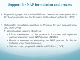 National Adaptation Plan (NAPs) Bhutan | PDF | Business | Business and ...