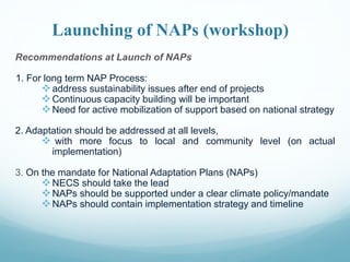 National Adaptation Plan (NAPs) Bhutan | PDF | Business | Business and ...