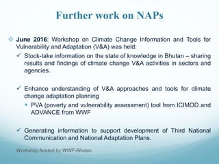 National Adaptation Plan (NAPs) Bhutan | PDF | Business | Business and ...