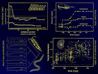 Protein structural domains, the Tree of Life and the evolution of ...