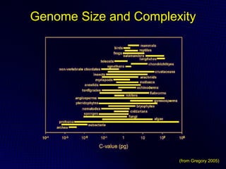 Protein structural domains, the Tree of Life and the evolution of complexity | PPT