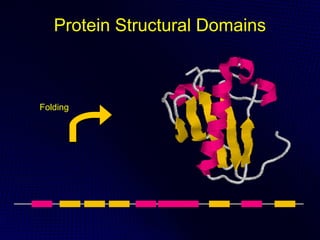 Protein structural domains, the Tree of Life and the evolution of ...