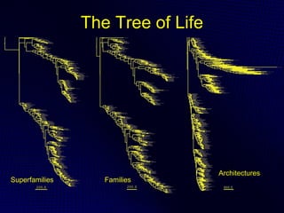 Protein structural domains, the Tree of Life and the evolution of ...