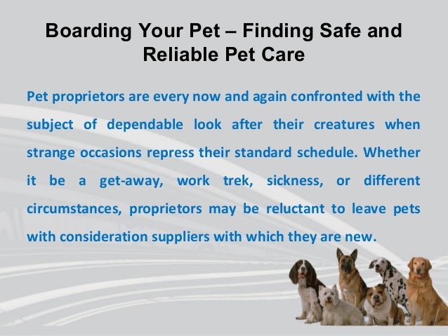 Naperville Animal Hospital Highly Rated Animal Care naperville-animal-hospital-highly-rated-animal-care