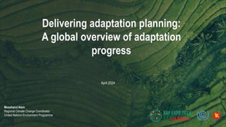 NAP Expo - Delivering effective and adequate adaptation.pptx