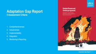 NAP Expo - Delivering effective and adequate adaptation.pptx