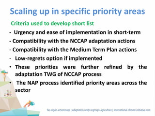 Scaling up in specific priority areas: The experience of Kenya | PDF
