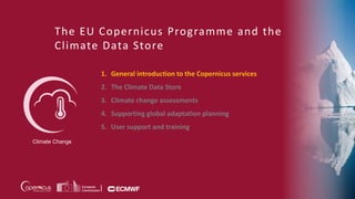 Session 2.3 Copernicus climate data store | PDF