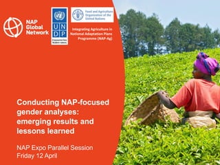 12.1.4 Strategic communication (NAP GN)- Gender session | PPT