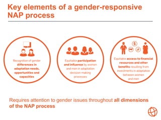 12.1.4 Strategic communication (NAP GN)- Gender session | PPT