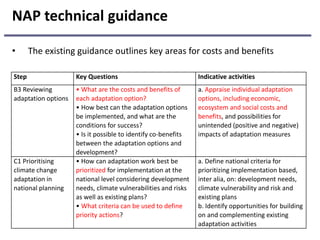 Economic appraisal under NAPs | PPTX