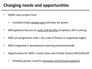 Economic appraisal under NAPs | PPTX | Business Accounting & Finance ...