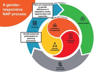 Gender-responsive NAP processes: Introduction | Angie Dazé, IISD | PPT