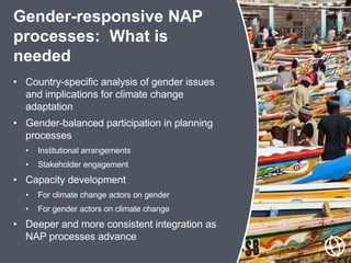 Gender-responsive NAP processes: Introduction | Angie Dazé, IISD | PPT