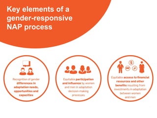 Gender-responsive NAP processes: Introduction | Angie Dazé, IISD | PPT