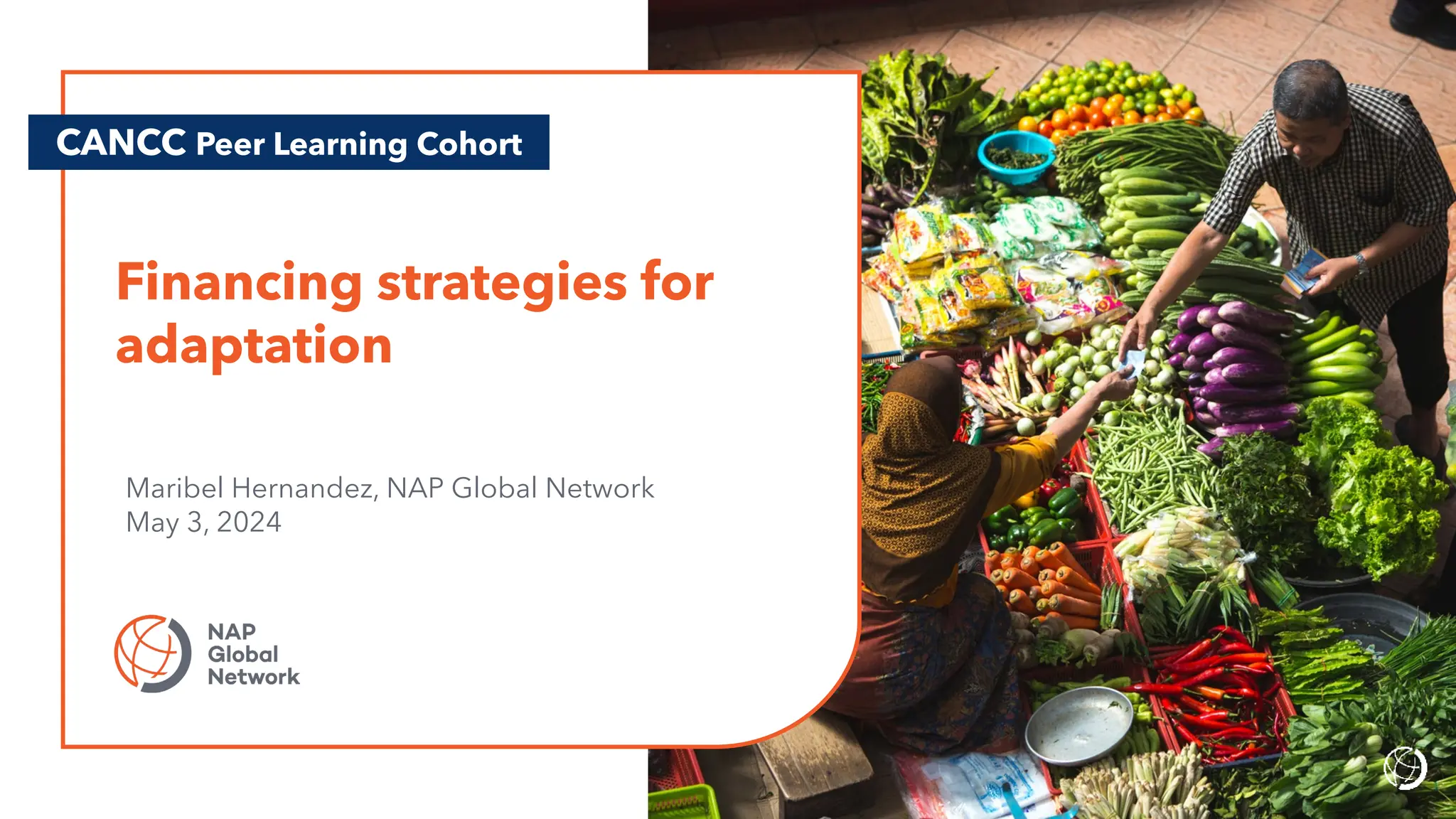 Financing strategies for adaptation. Presentation for CANCC | PDF