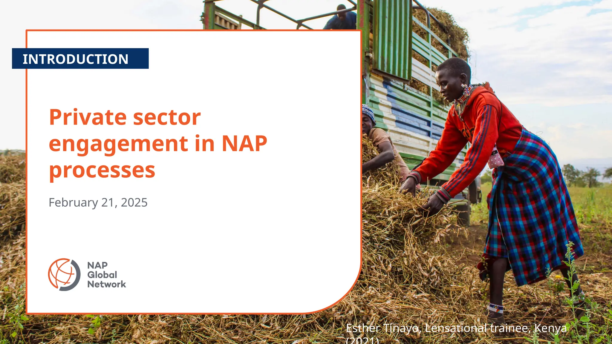 Private sector engagement in NAP processes | PPTX