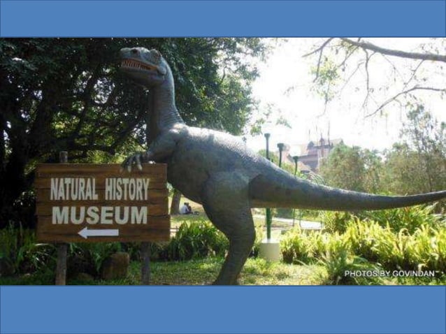Napier Art Museum and Gallery | PPTX | Museums & Galleries | Attractions