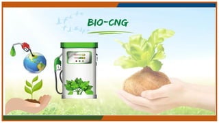NAPIER GRASS as raw material for production of Bio-CNG & Center Pivot ...