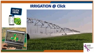 NAPIER GRASS as raw material for production of Bio-CNG & Center Pivot ...