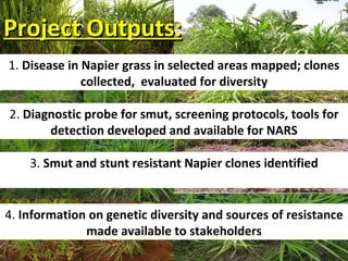 Planning for and monitoring outcomes in action-research Projects: The ...