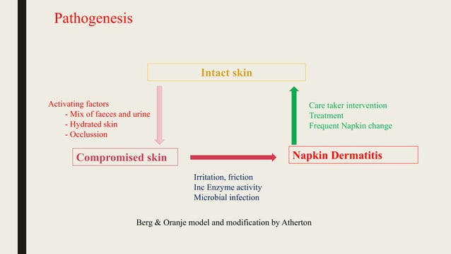 Napkin dermatitis Dr Sandeep Lal V | PPTX | Digestive Disorders ...