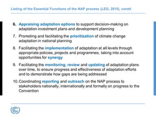 Introduction and a quick guide to the formulation and implementation of ...