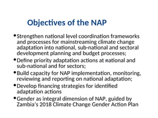 National Adaptation Plan for Zambia: Its Importance, The Process ...