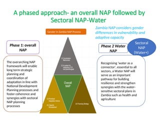 National Adaptation Plan for Zambia: Its Importance, The Process ...